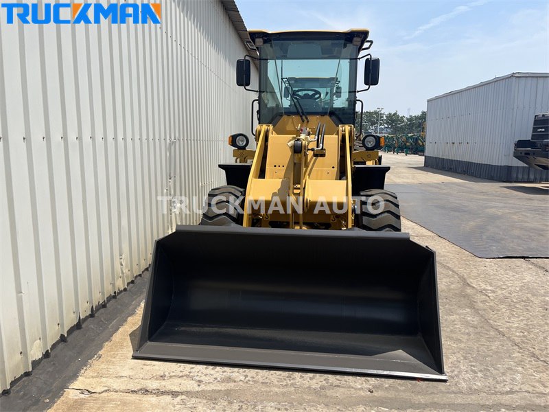 LOVOL FL920H 2 Tons Compact Wheel Loader For Ghana